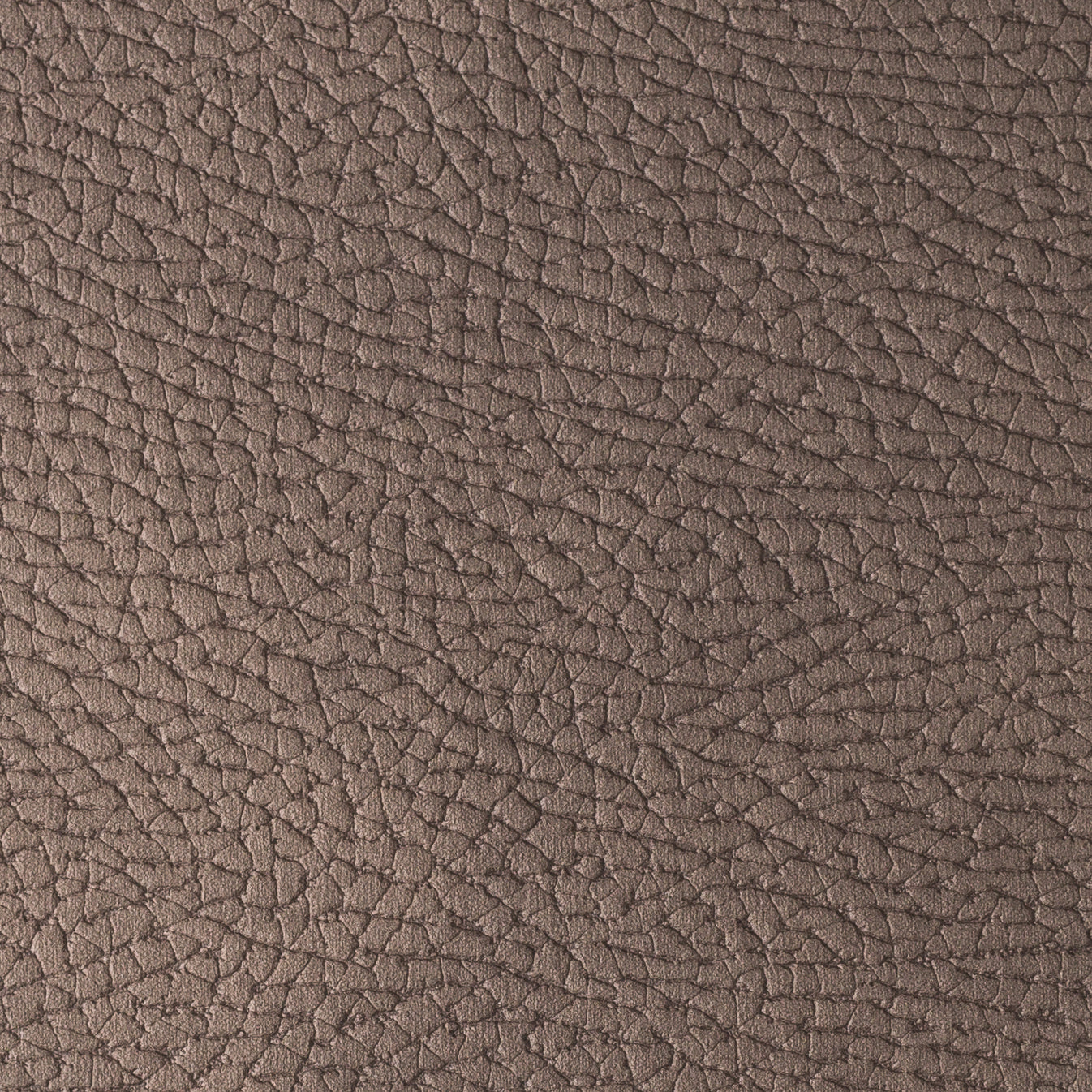 Mozart Elephant – Danilo Lucchi